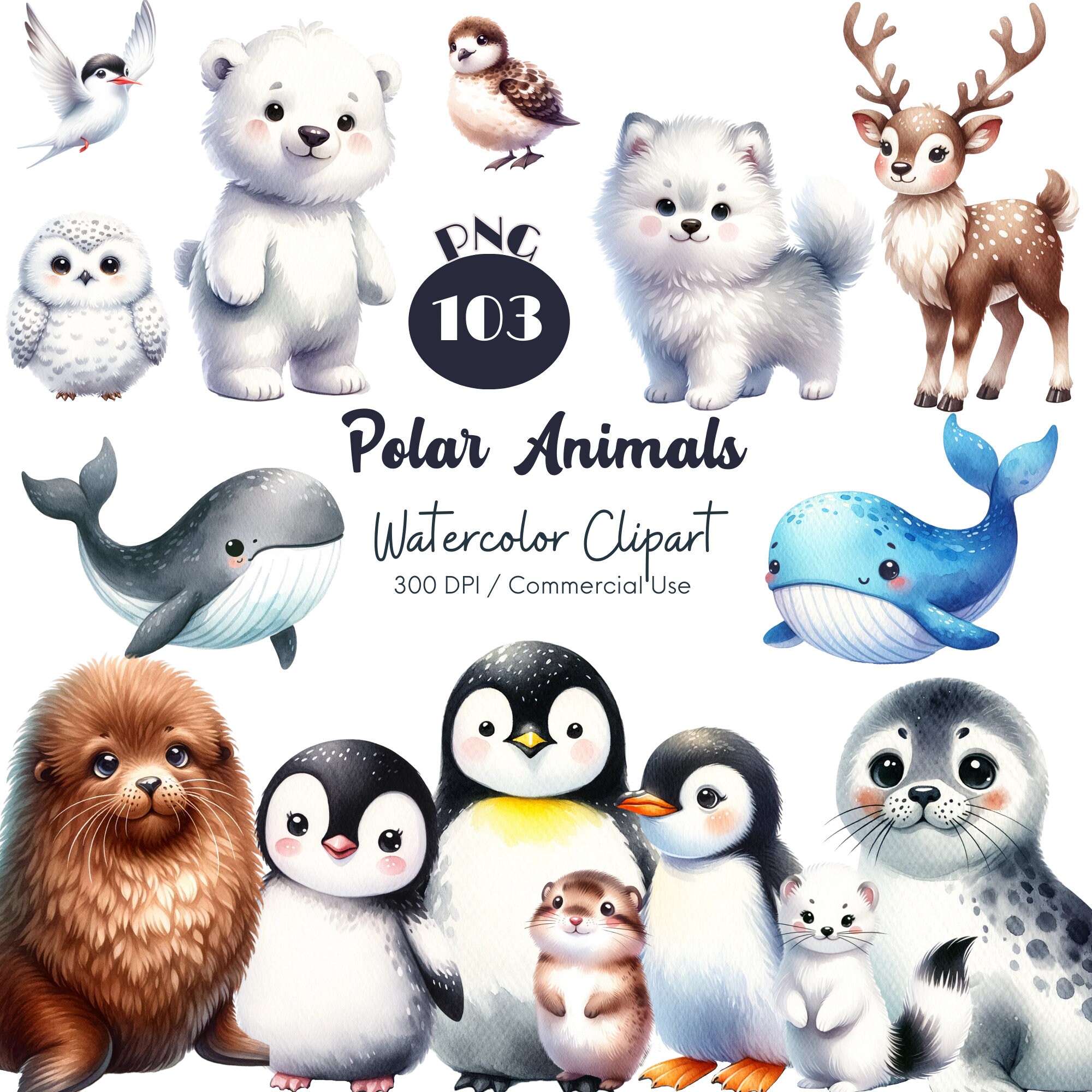 Cute Polar Animals Clipart 103 PNG Watercolor Arctic Animal Antarctic ...