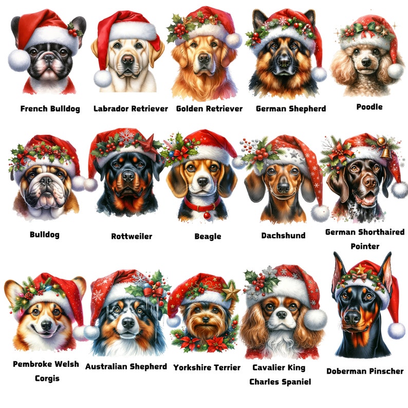 Christmas Dog Watercolor Clipart: 60 Breeds PNG Bundle (digital ...