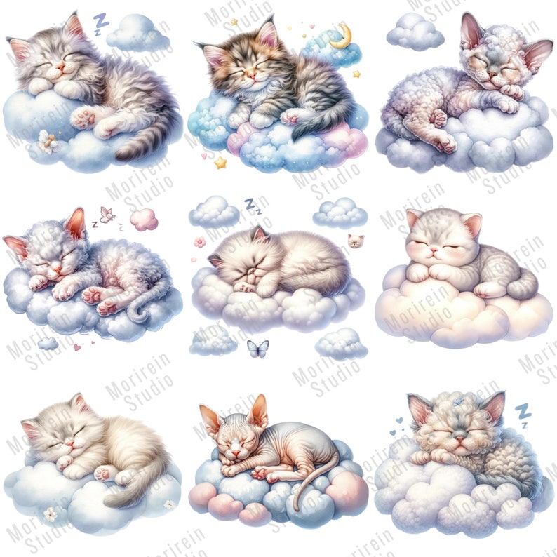 Sleeping Cats Clipart 55 PNG Watercolor Cute Sleeping Cats on Cloud PNG ...