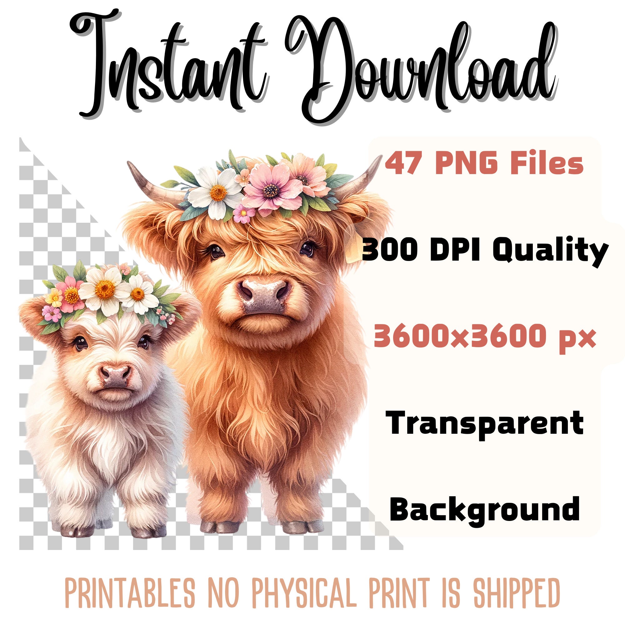 Baby Highland Cow Watercolor Clipart: 47 PNG Nursery Art (digital ...