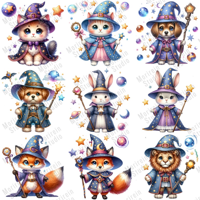 Sorcerer Animals Clipart 45 PNG Watercolor Magical Animals Clipart ...