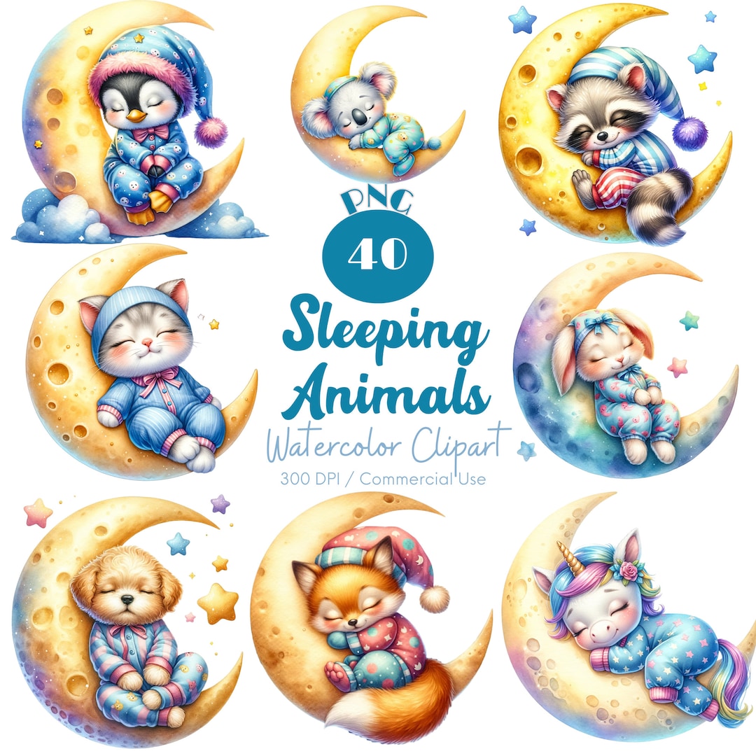 Sleeping Animals Clipart 40 PNG Watercolor Cute Sleeping Animals on ...