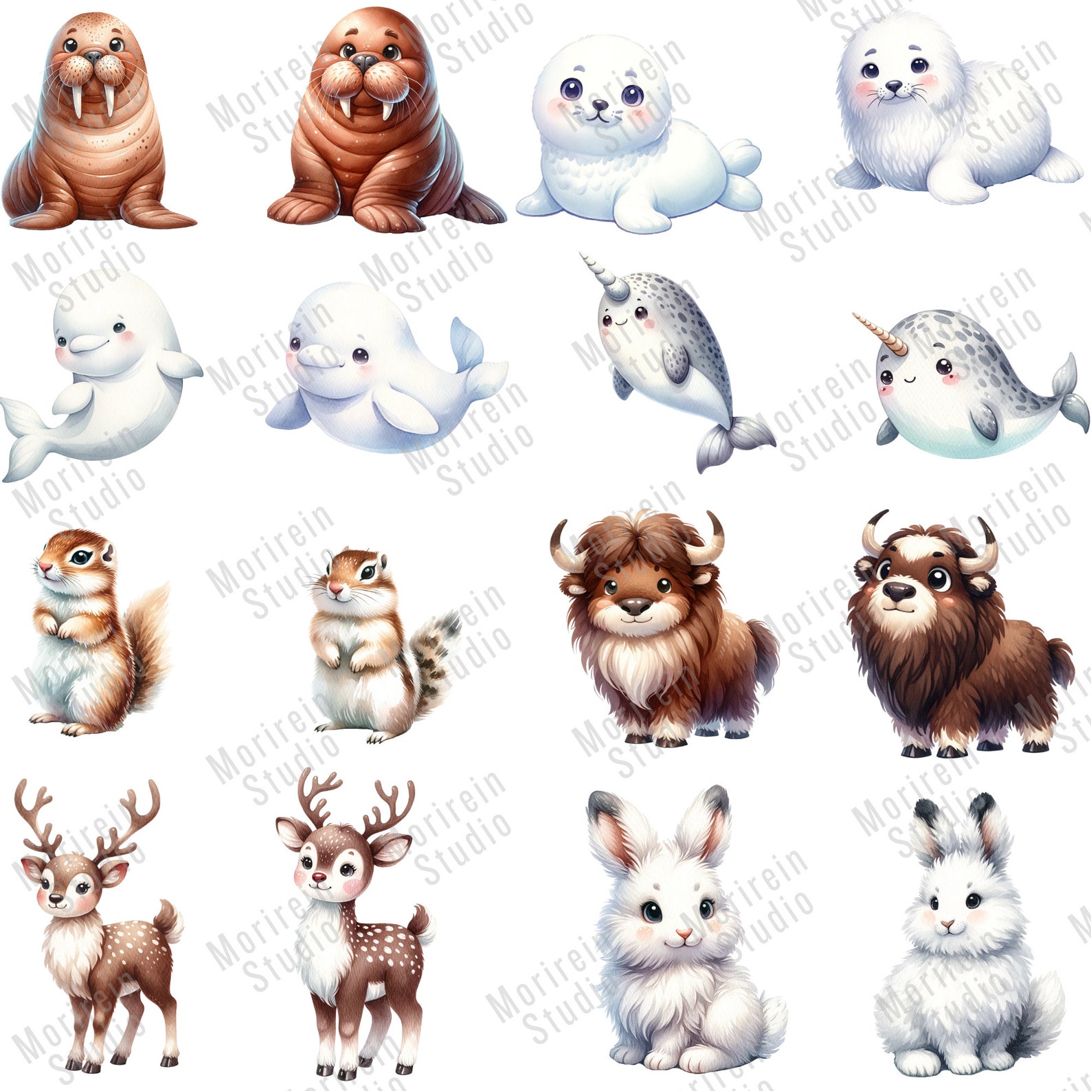 Cute Polar Animals Clipart 103 PNG Watercolor Arctic Animal Antarctic ...