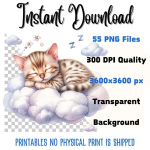 Sleeping Cats Clipart 55 PNG Watercolor Cute Sleeping Cats on Cloud PNG ...