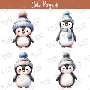 Watercolor Penguin Clipart: Arctic Animals, Baby Shower (digital ...