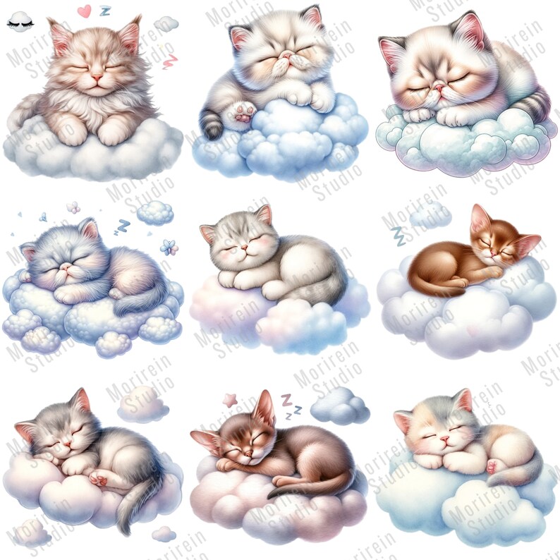 Sleeping Cats Clipart 55 PNG Watercolor Cute Sleeping Cats on Cloud PNG ...