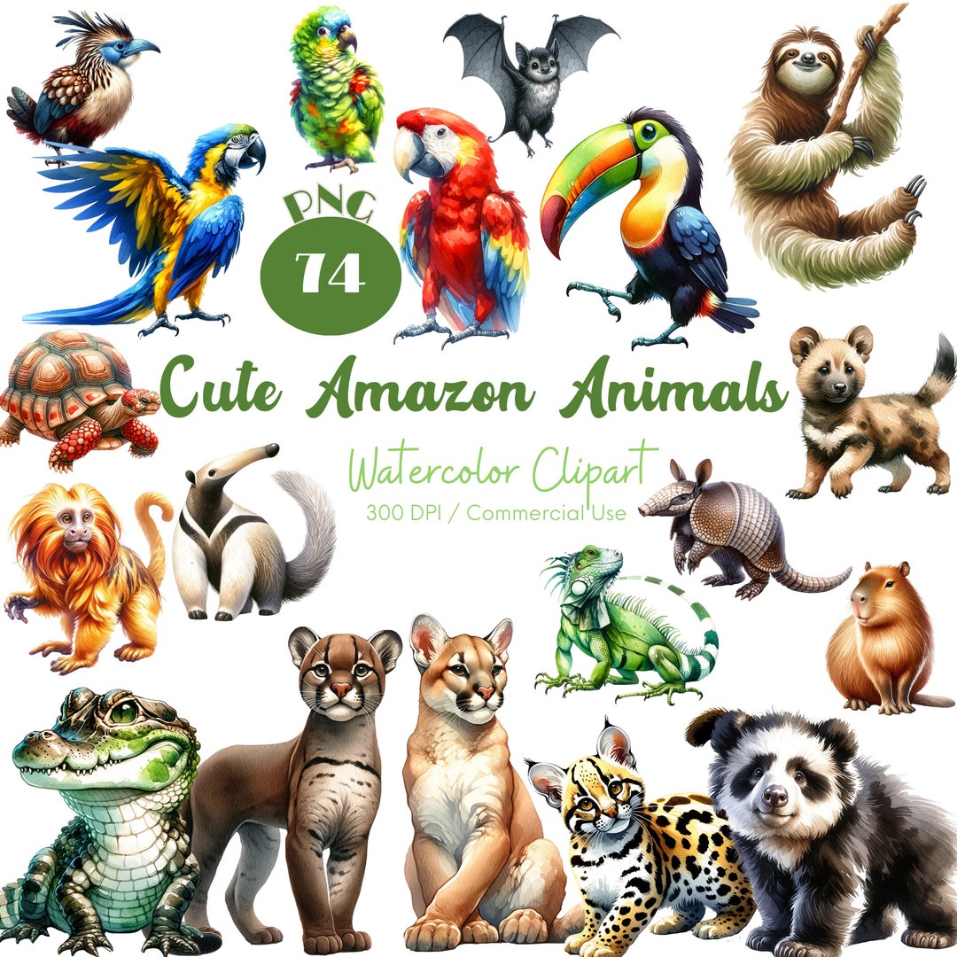 Cute Amazon Animals Clipart 74 PNG Watercolor South America Animals ...