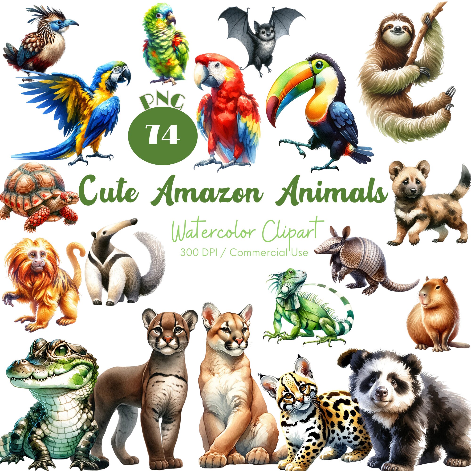 Cute Amazon Animals Clipart 74 PNG Watercolor South America Animals ...