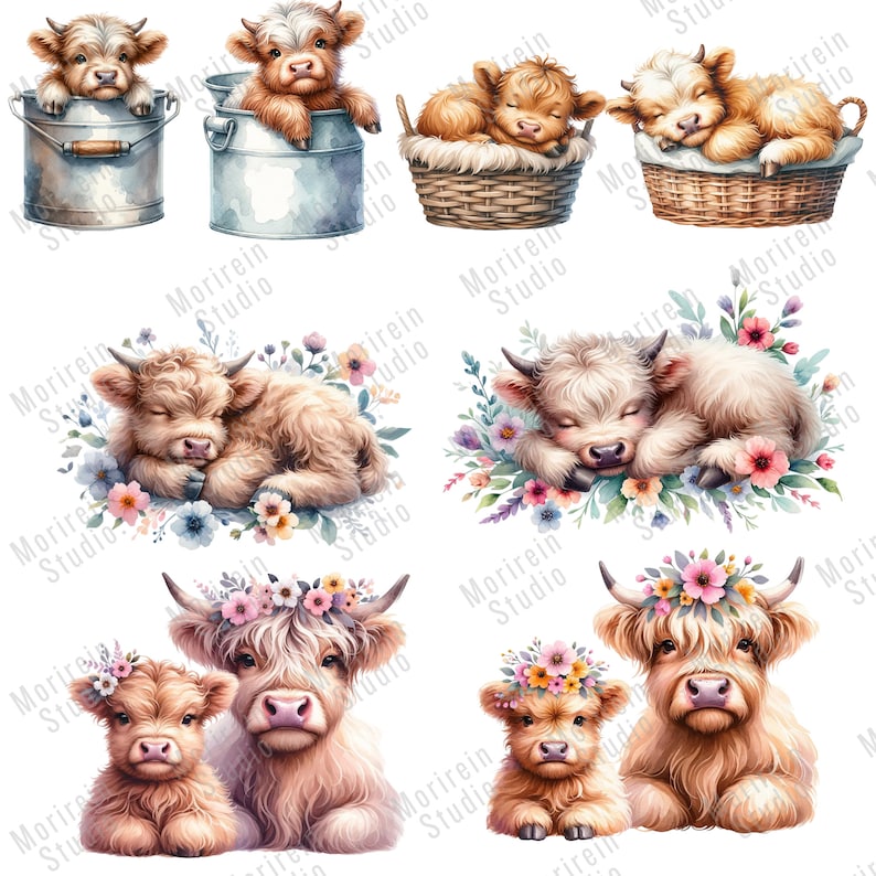 Baby Highland Cow Watercolor Clipart: 47 PNG Nursery Art (digital ...