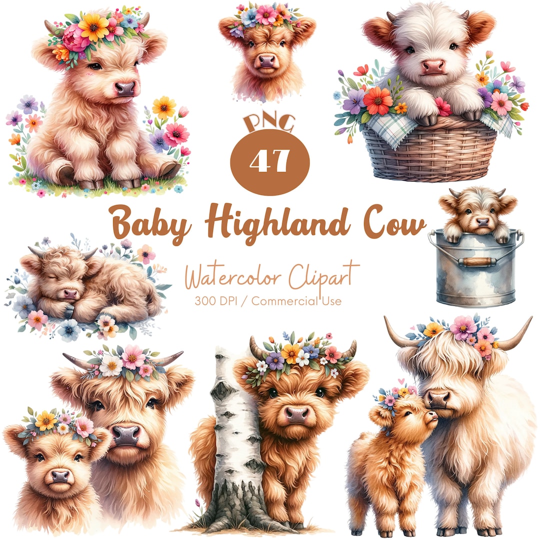 Baby Highland Cow Clipart 47 PNG Watercolor Baby Highland Cow PNG ...