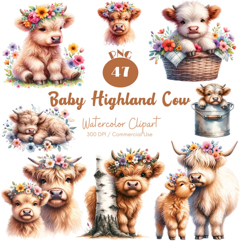 Baby Highland Cow Watercolor Clipart: 47 PNG Nursery Art (digital ...