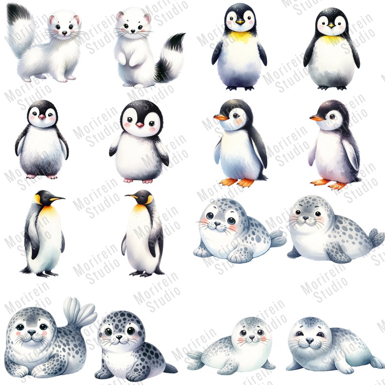 Cute Polar Animals Clipart 103 PNG Watercolor Arctic Animal Antarctic ...