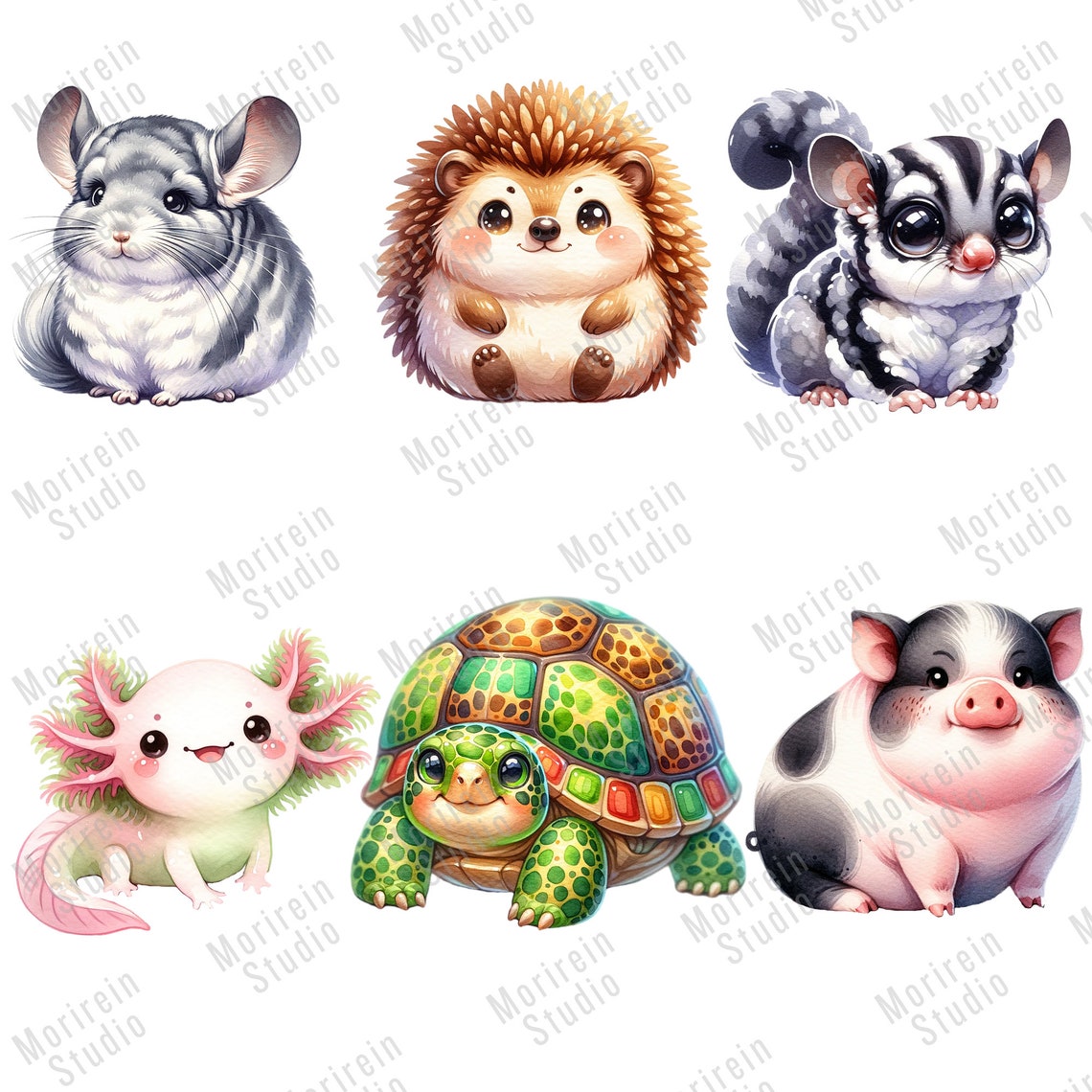 Cute Pets Clipart 30 PNG Watercolor Cute Animal Safari Animal Adorable ...