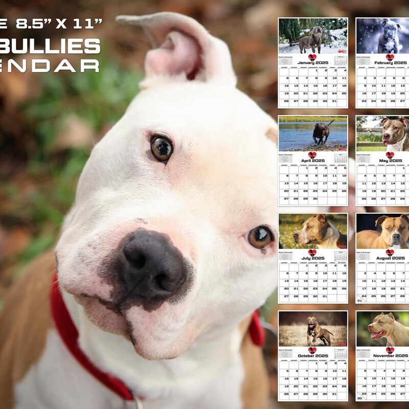 FanbaseCreatives - Etsy