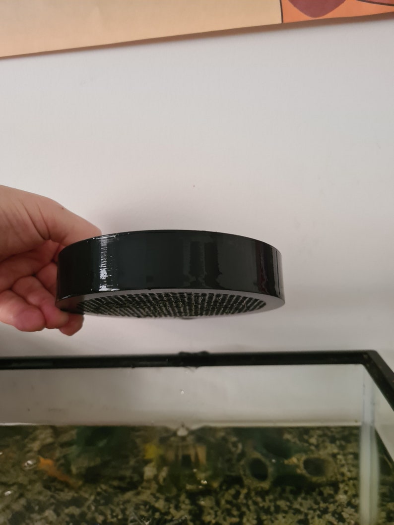 Aquarium Floating Plant Protector - Etsy