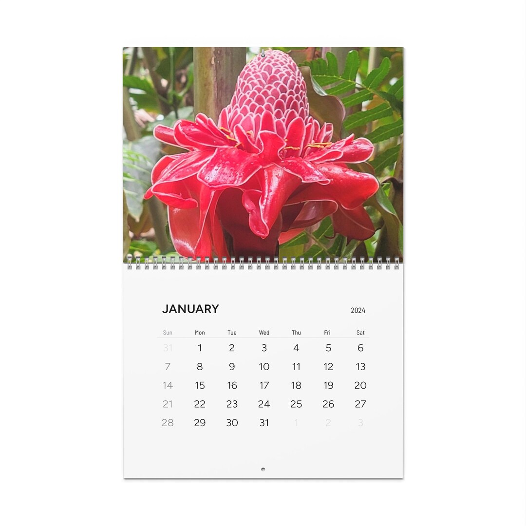 Tropical Flower Wall Calendars 2024 Variety Vibrant Exotics, Something ...