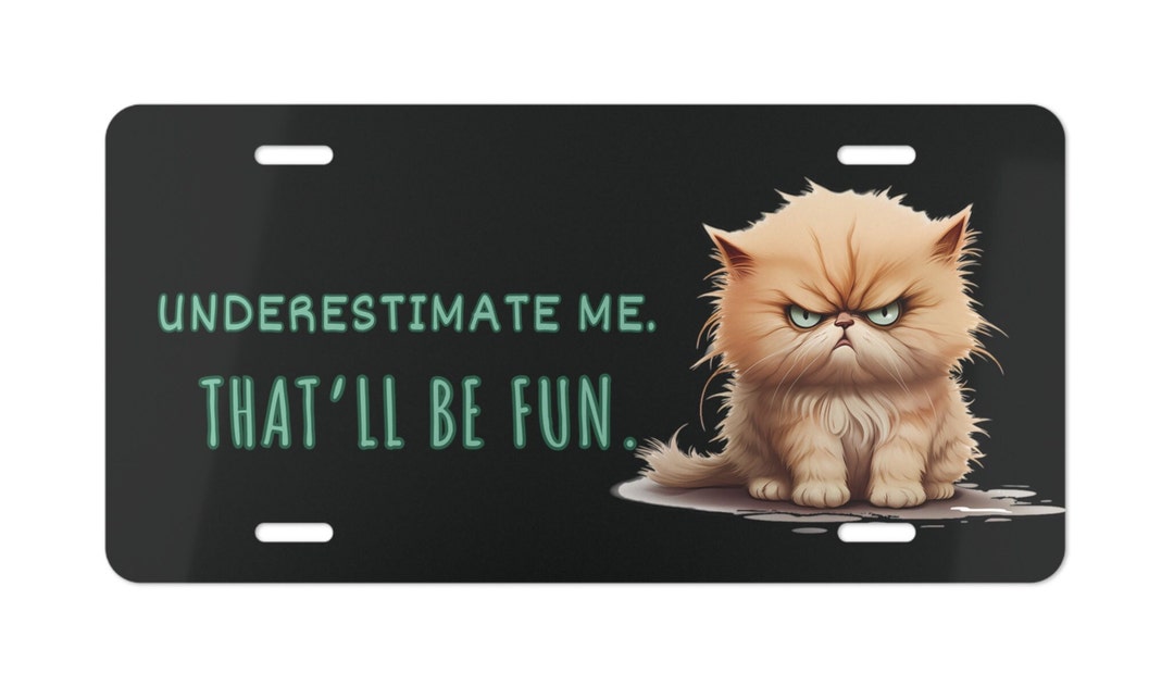 Angry Cat Vanity Plate, Kitten Vanity Plate, Angry Kitten Vanity Plate ...