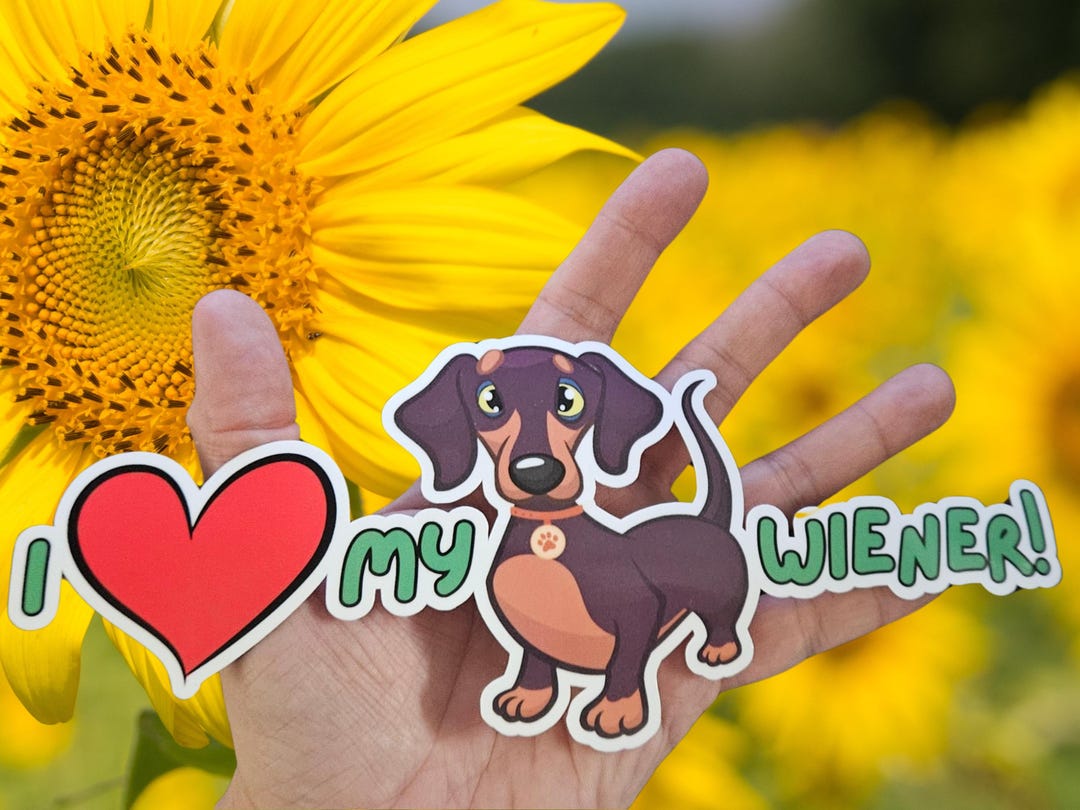 Dachshund Bumper Sticker, I Heart My Wiener, Dog Lover Stickers, Funny ...