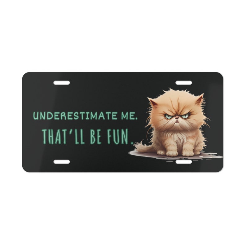 Grumpy Cat Vanity Plate, Cat Vanity Plate, Angry Cat Vanity Plate, Cat ...