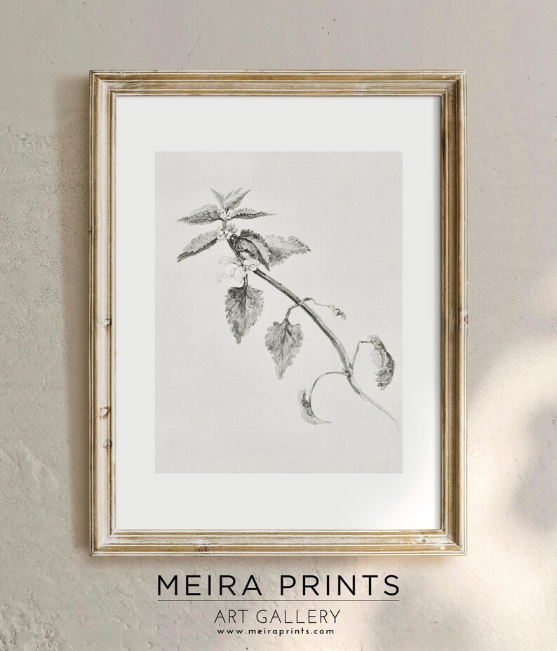 Vintage Green Olive Branch Printable Wall Art, Neutral Muted Tones ...