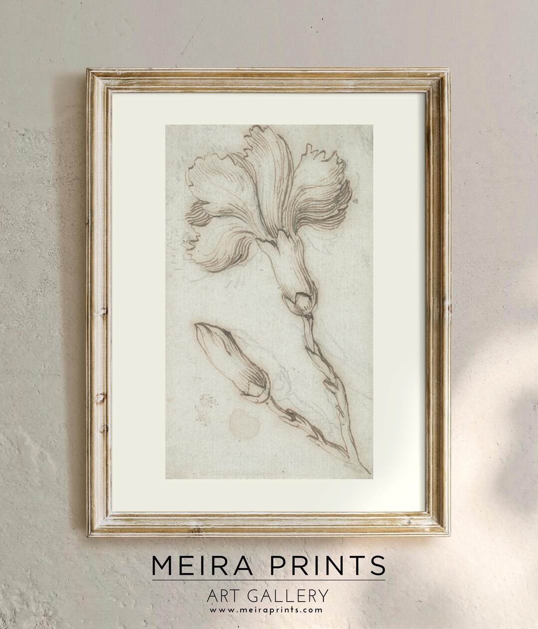 Vintage Carnation Flower Sketch Printable Wall Art, Antique Neutral ...