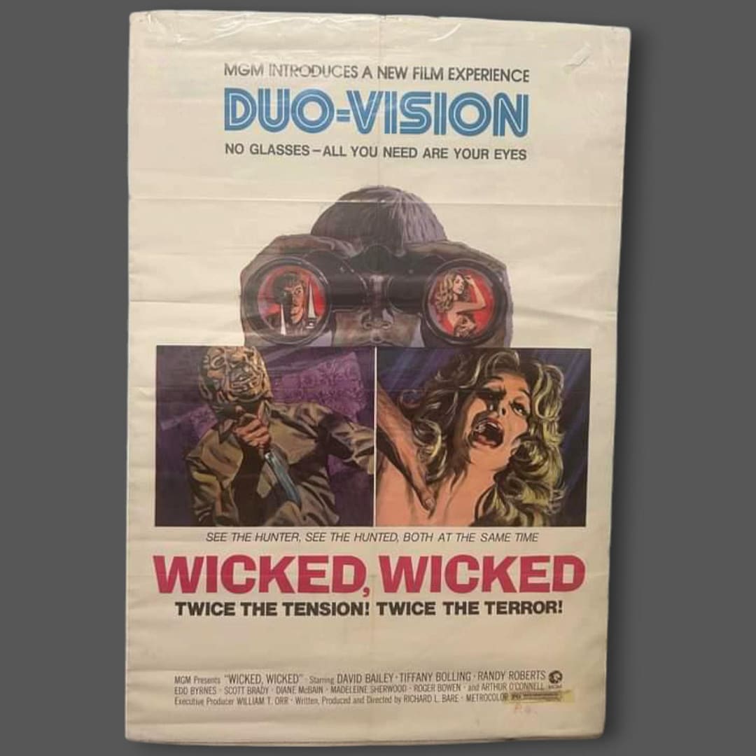Original 1973 Wicked Wicked Duo-vision One Sheet Horror/slasher Movie ...