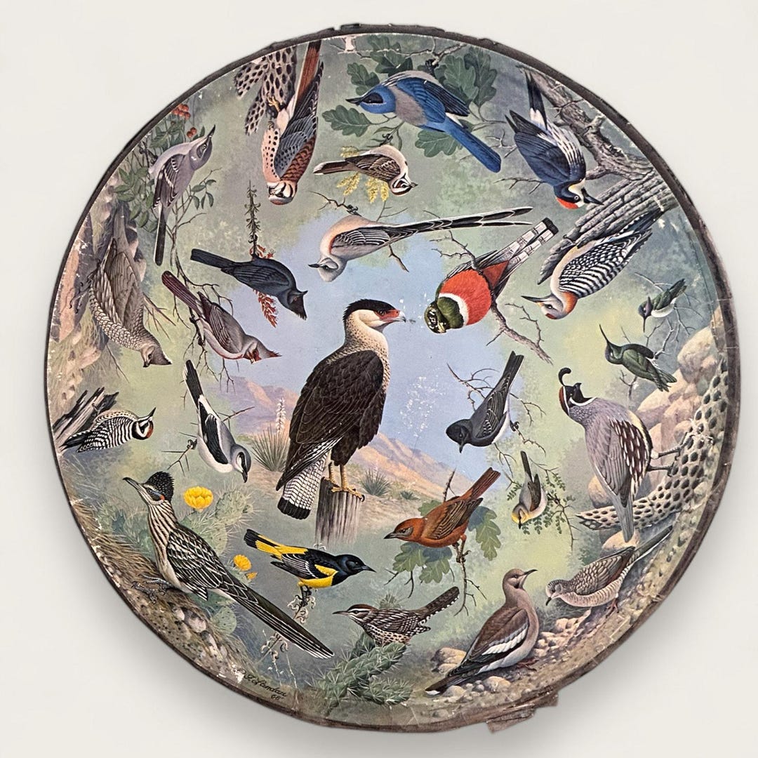 Vintage 1969 Springbok Circular 500 Piece Puzzle birds of the Southwest ...