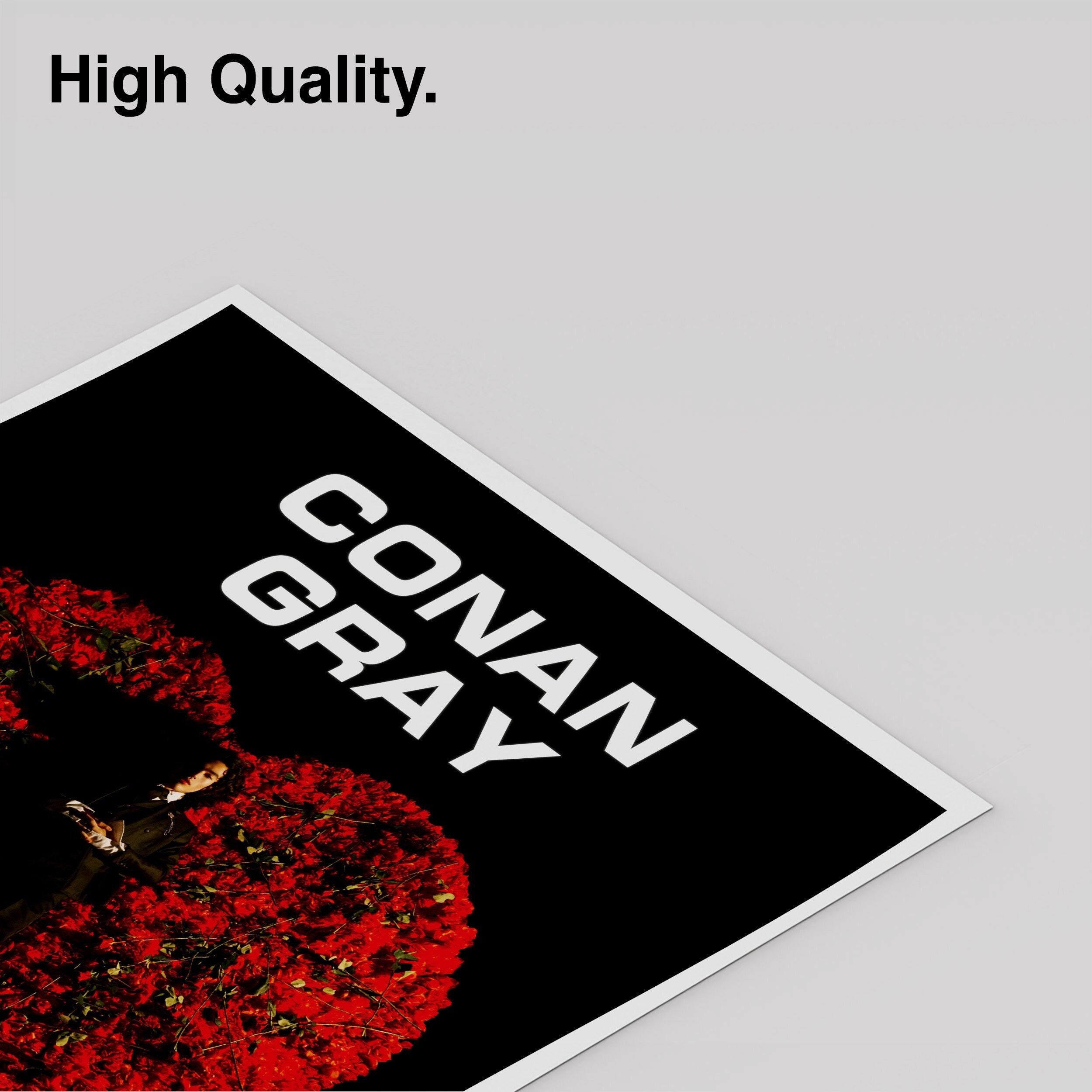 Conan Gray - Superache Album Poster sold by Two-Man Vinny | SKU ...