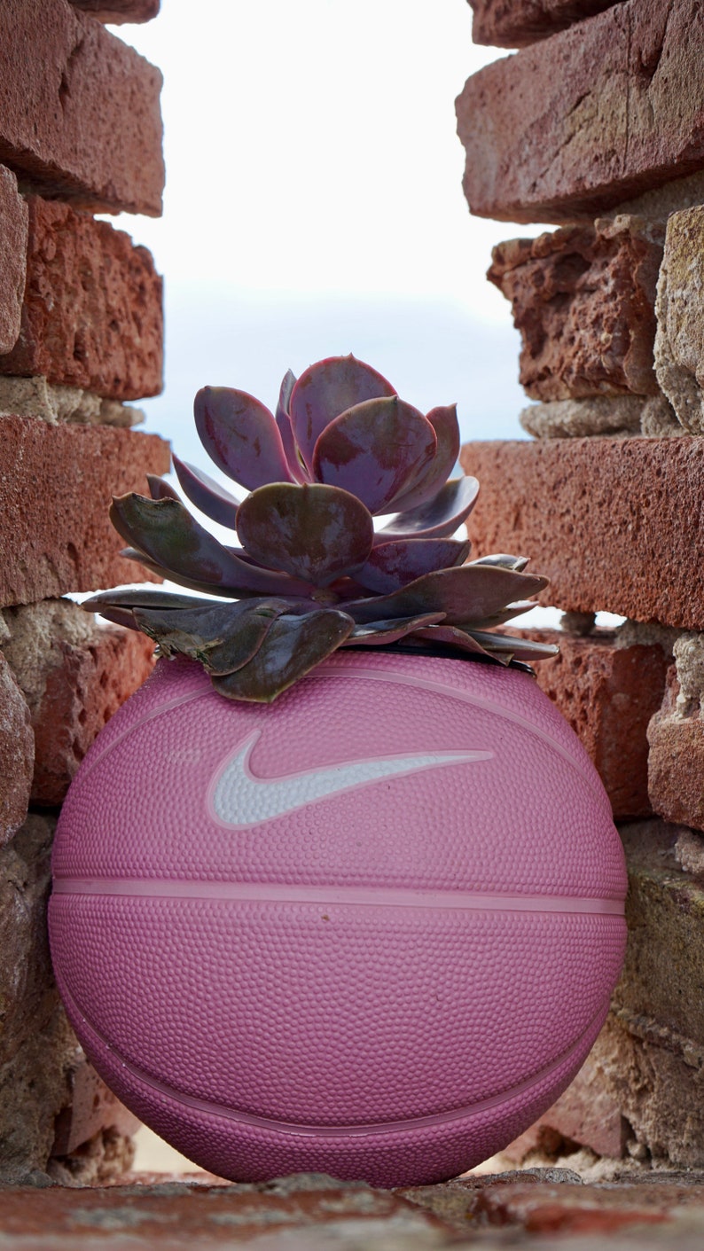 Mini Nike Basketball Planter - Swann’art - Etsy