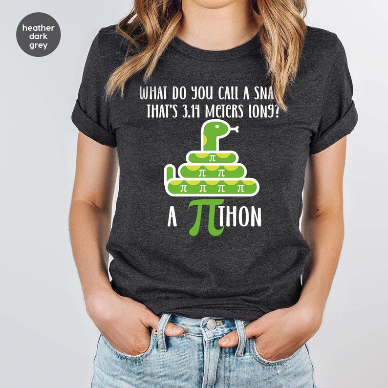 Funny Pi Day Math Teacher T-shirt, Snake Pun Tee - Etsy