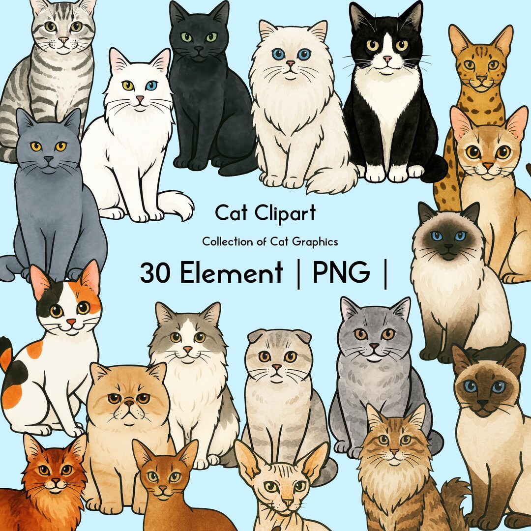 Watercolor Cat Clipart Bundle | Cat Illustrations | PNG | Commercial ...