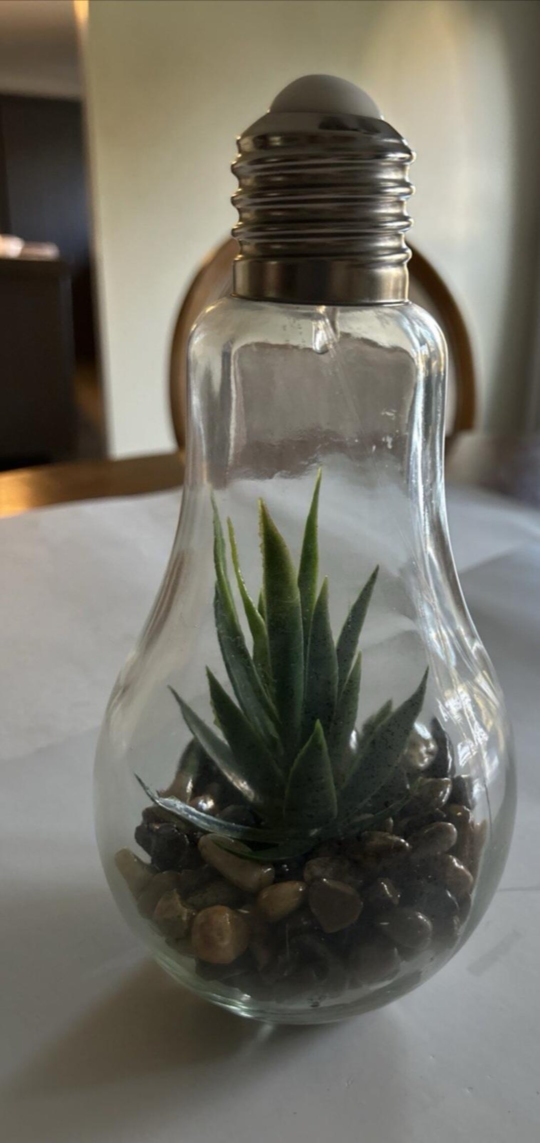 Aloe Vera Plant Glass Bulb Terrarium LED Night Light Indoor Outdr Faux ...