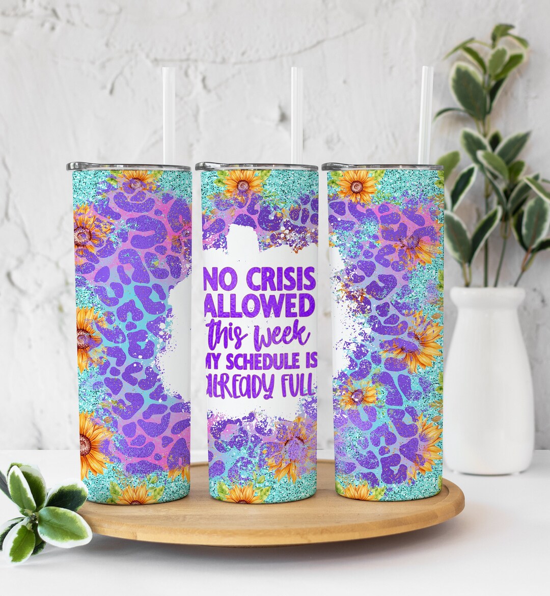 No Crisis Allowed Funny Tumbler - Etsy