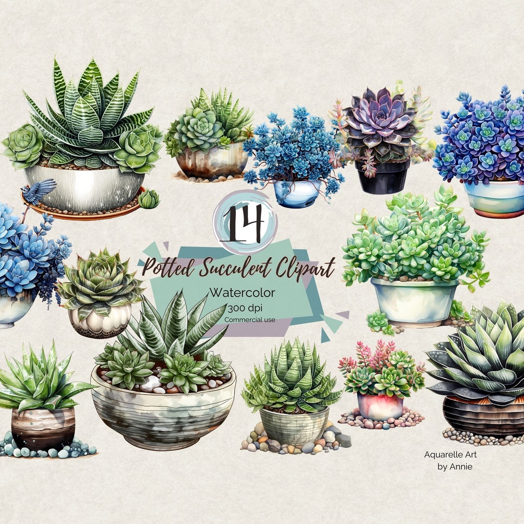 Watercolor Potted Succulent Clipart, Succulent Clipart, Xmas Plants ...