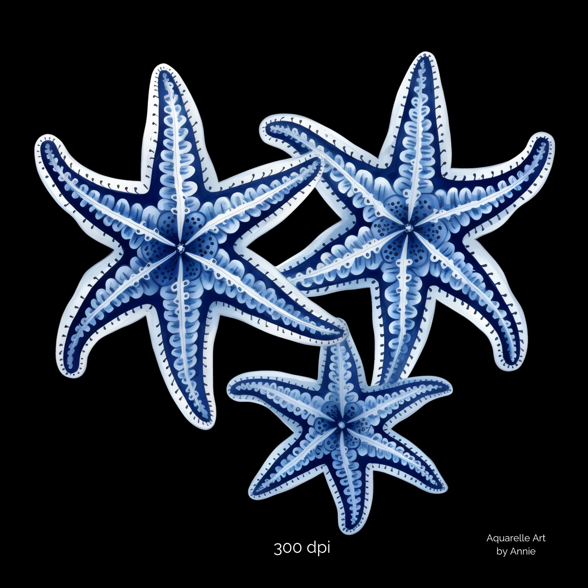 Watercolor Nautical Starfish Clipart, Blue Starfish Decorated Clipart ...