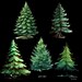 Watercolor Christmas Trees Clipart, Green Christmas Tree Clipart, Green ...