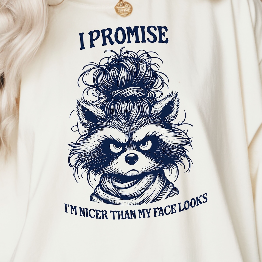 I Promise I'm Nicer Than My Face Looks Png, Funny Raccoon PNG SVG ...