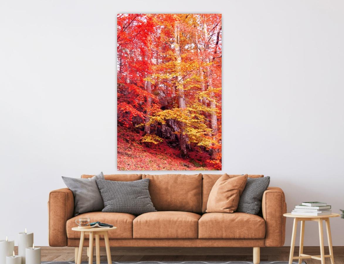 Stunning Norwegian Fall Original Photo-instant Download Art Photography ...