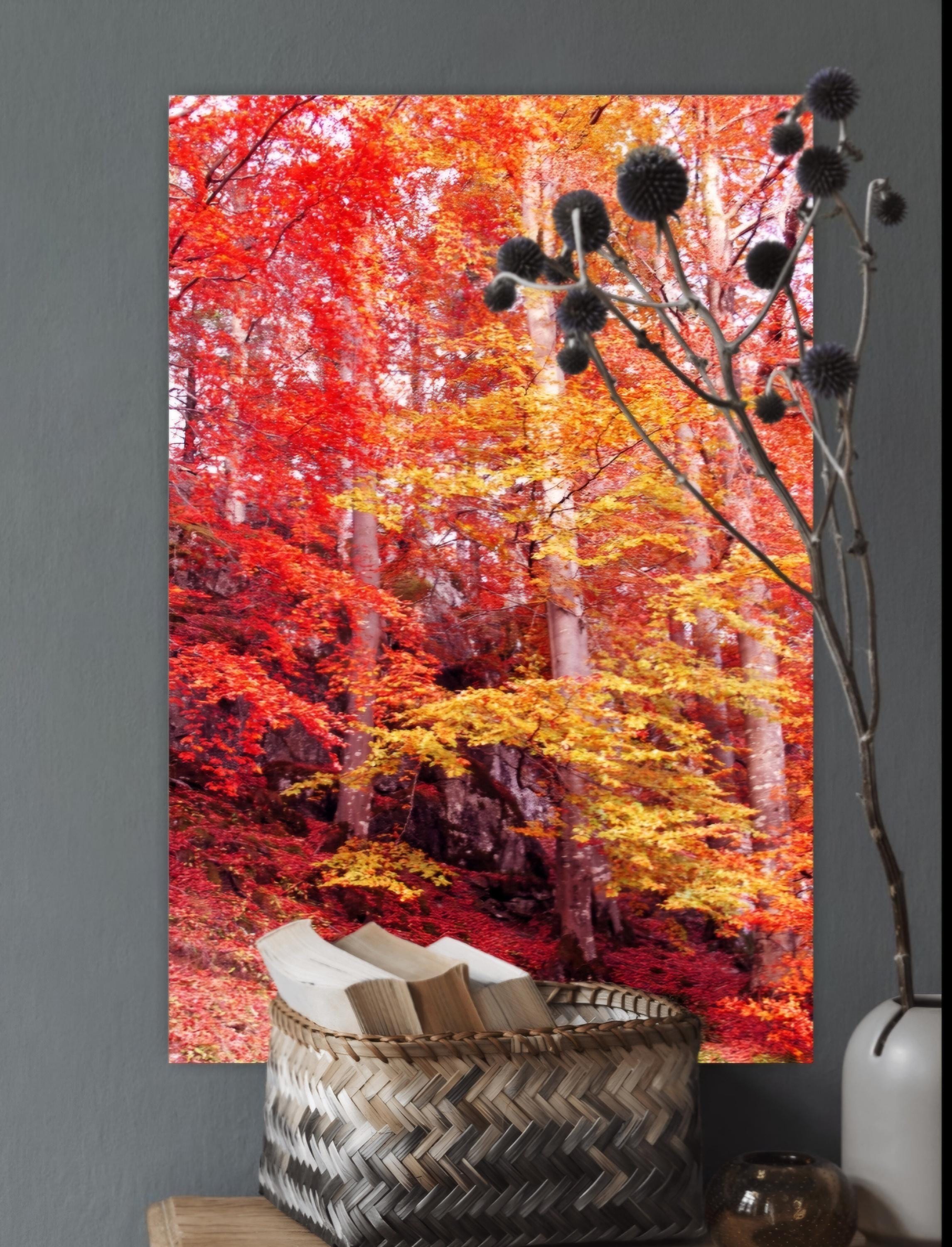 Stunning Norwegian Fall Original Photo-instant Download Art Photography ...