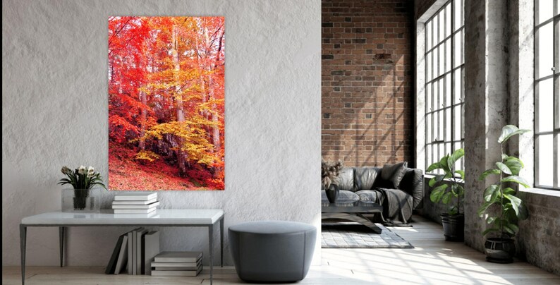 Stunning Norwegian Fall Original Photo-instant Download Art Photography ...