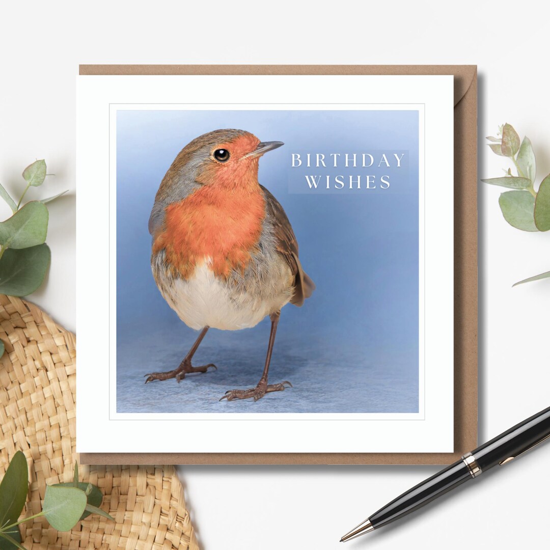 Robin Birthday Card Original Photography Robin Photo Wildlife Card ...