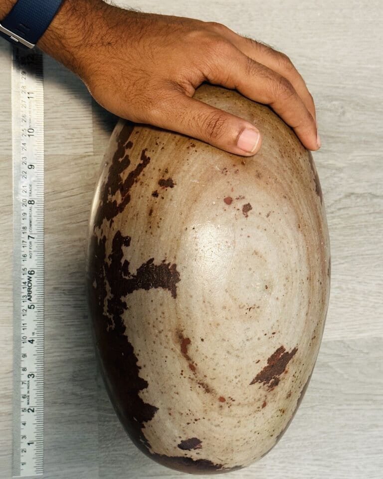 12 Amazing Shiva Lingam Stone From India Narmada River Shivalingam C12 ...