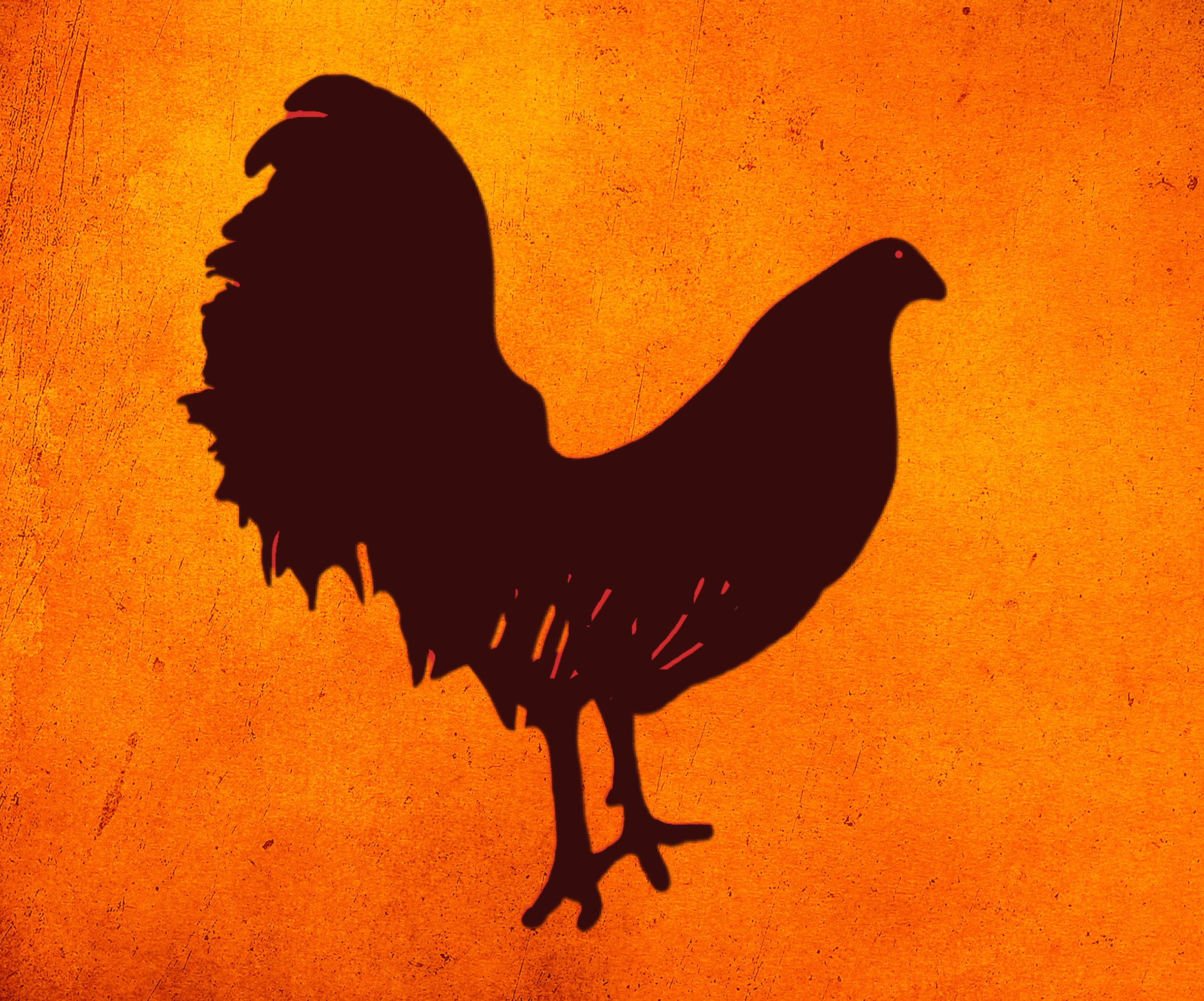 Gamefowl Rooster Decal Sticker Multiple Sizes Available - Etsy