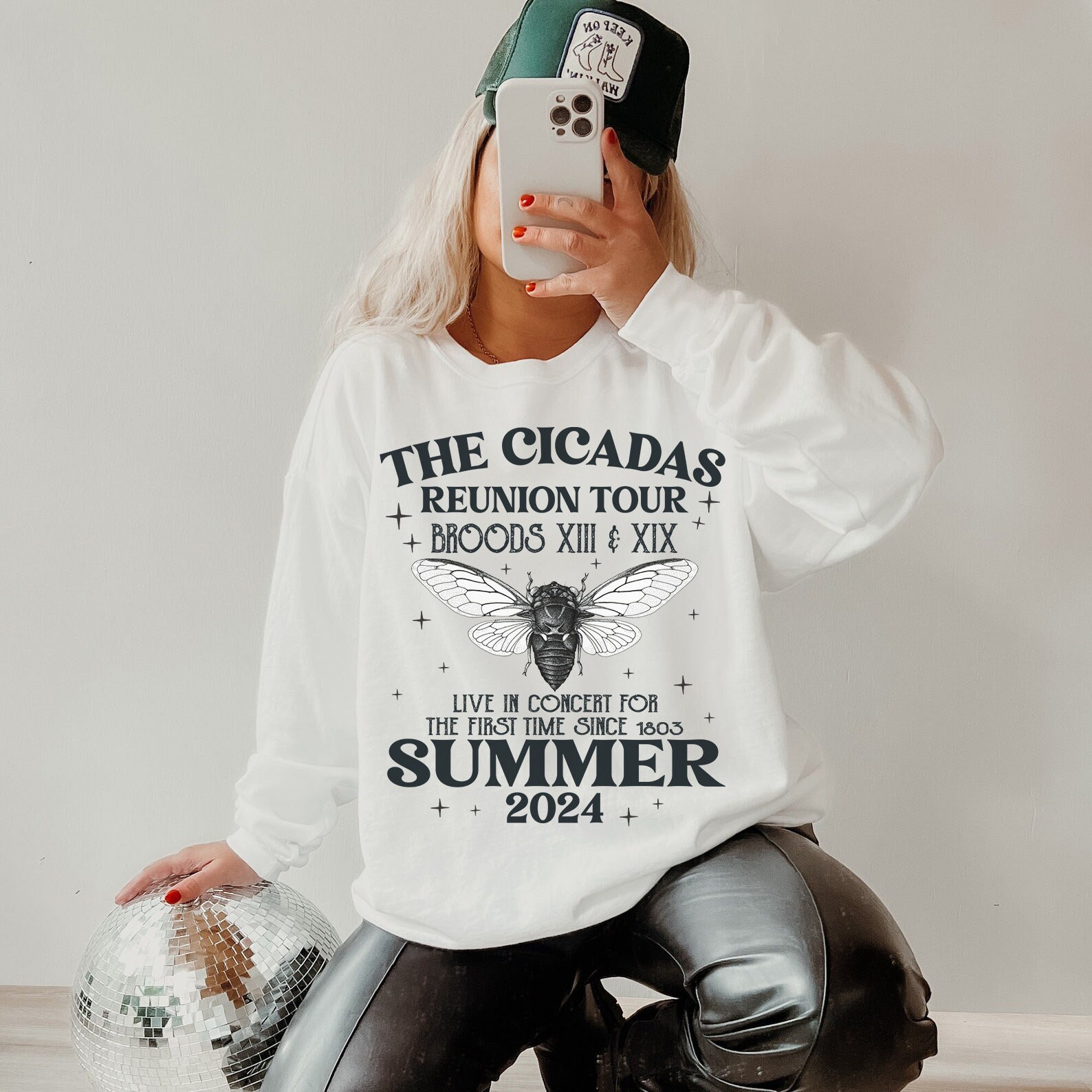 The Cicadas Reunion Tour PNG, Cicadas Invasion Summer Scream 2024 ...