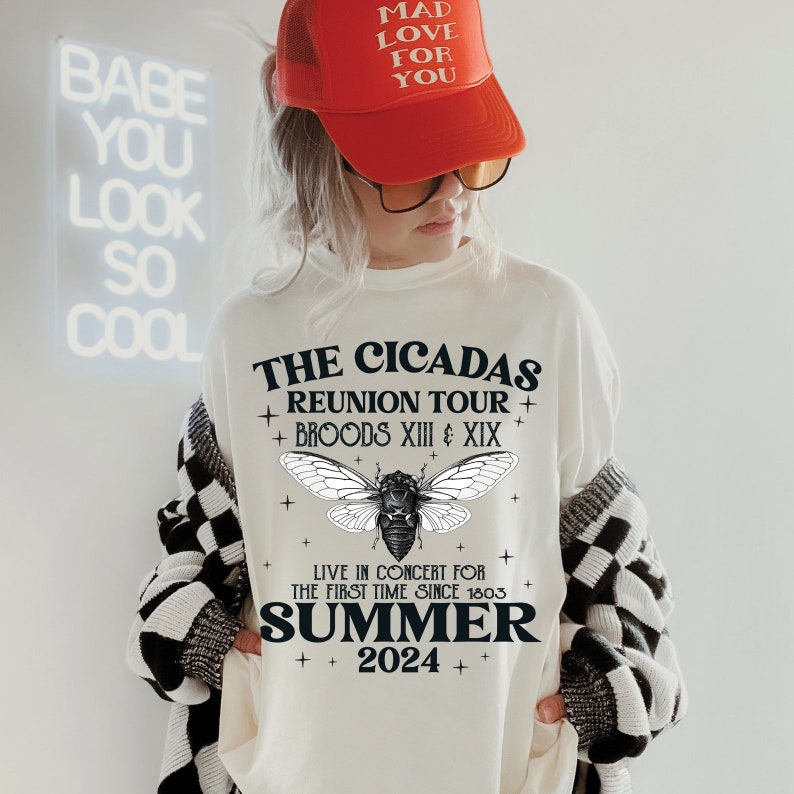 The Cicadas Reunion Tour PNG, Cicadas Invasion Summer Scream 2024 ...