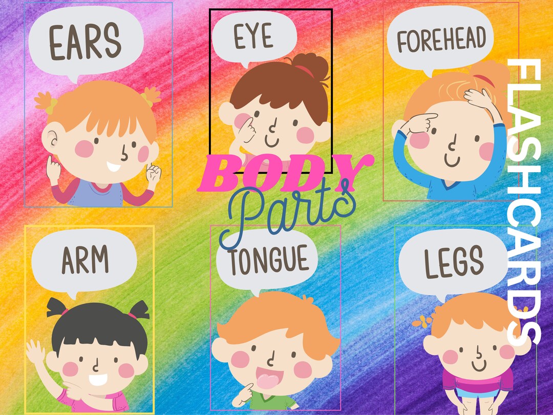 20 Body Parts Flashcards, Colorful Image Cards for Kids, Preschooler ...