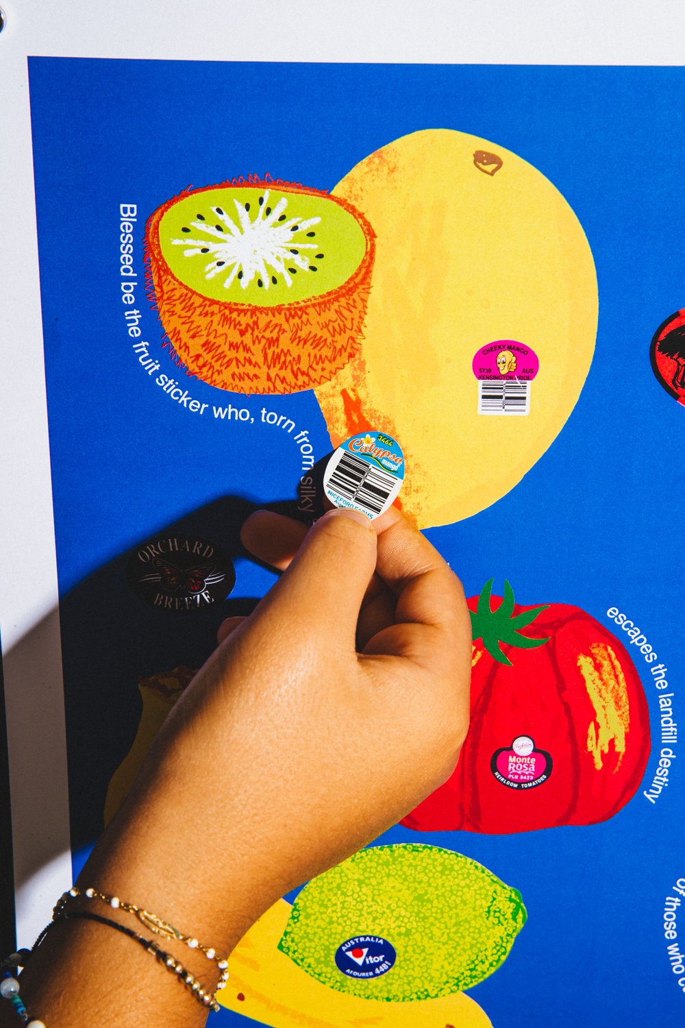 Fruit and Produce Sticker Poster in Collaboration With Artist Alice ...