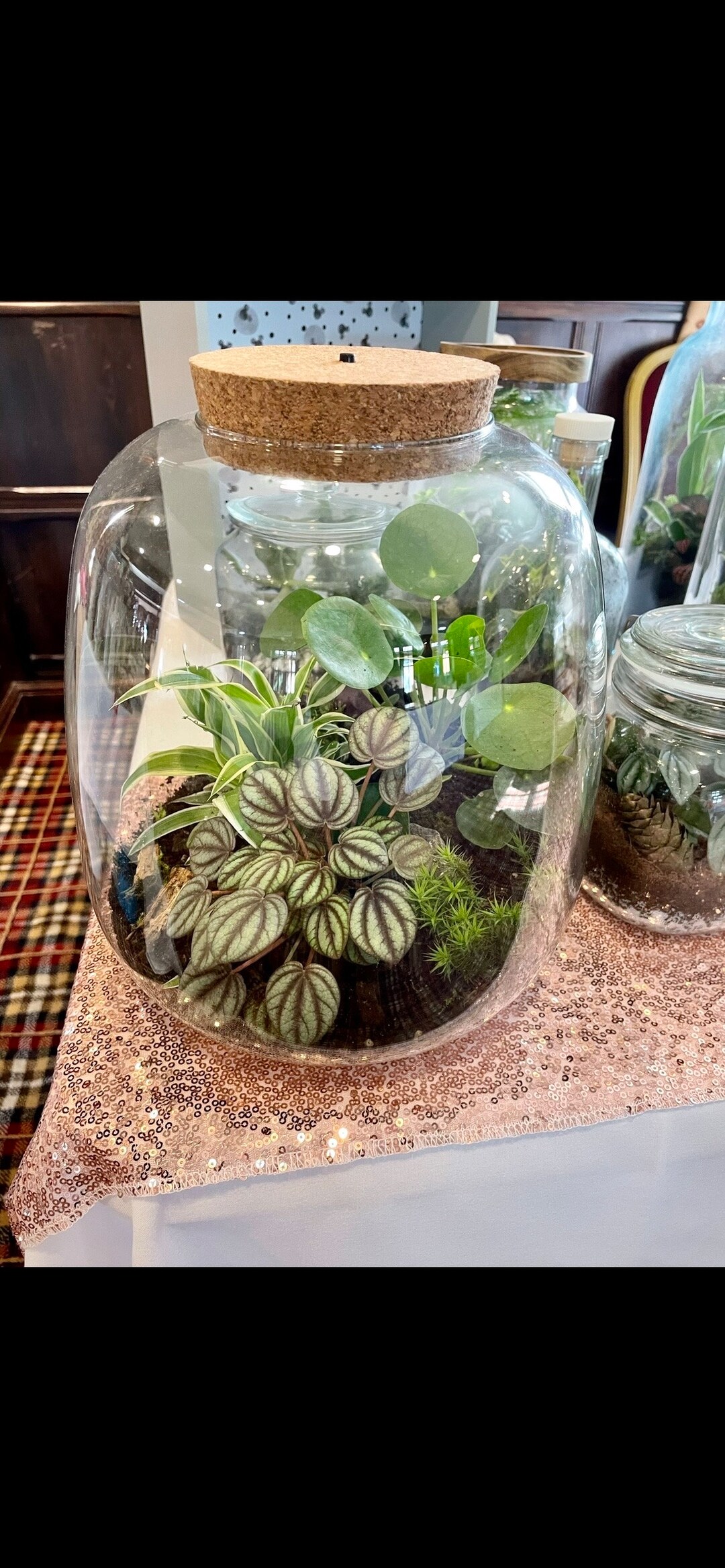 Custom Terrariums of All Sizes and Designs - Etsy UK