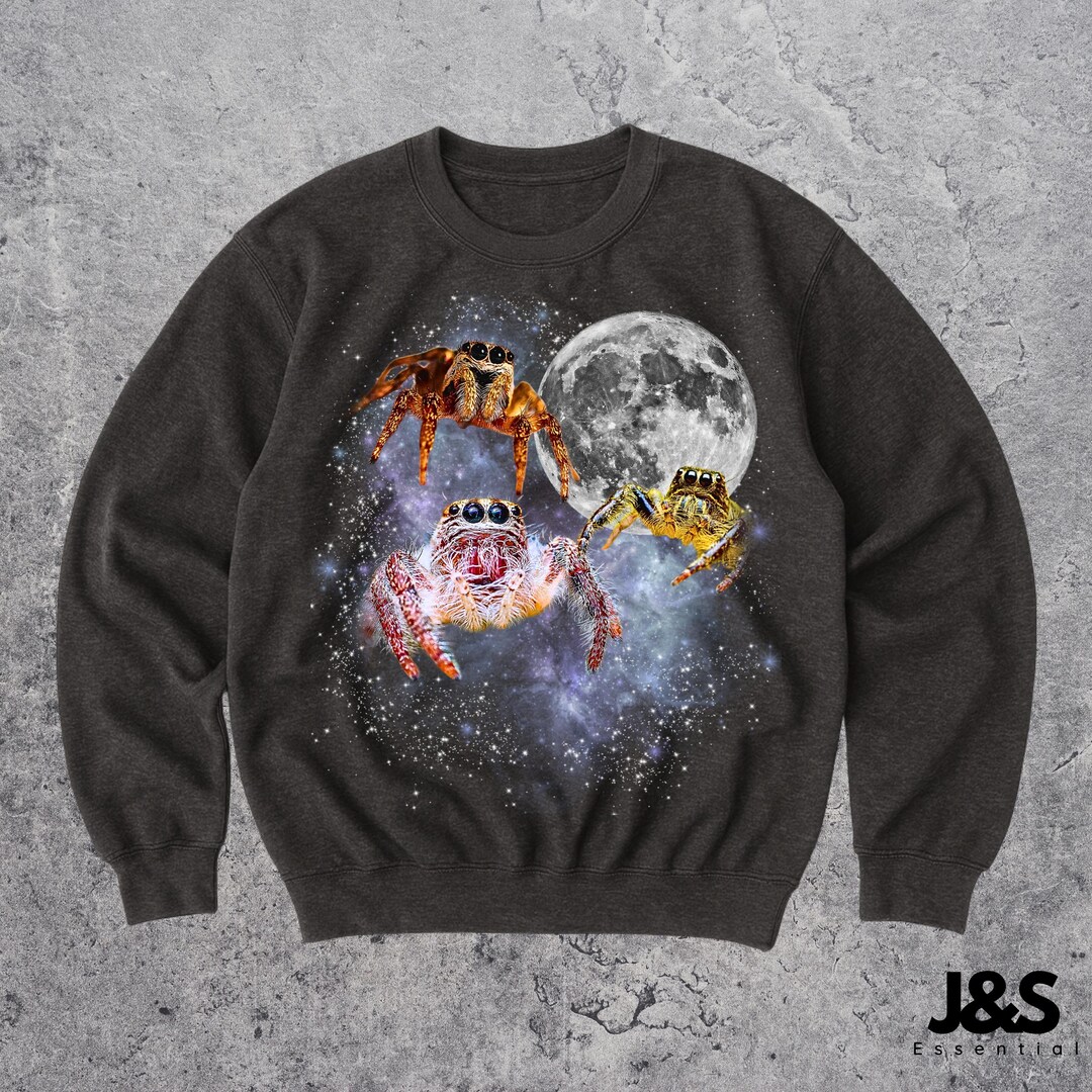 Jumping Spider Sweatshirt, Three Spider Moon Crewneck, Creepy Cute Bug ...