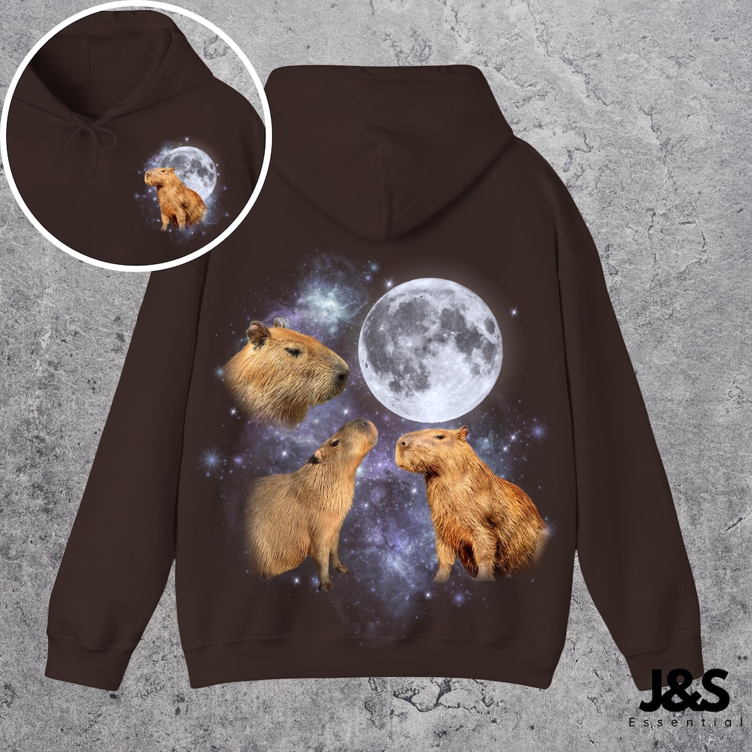 Three Capybara Vintage Graphic Hoodie, Retro Capybara Moon Hoodie ...